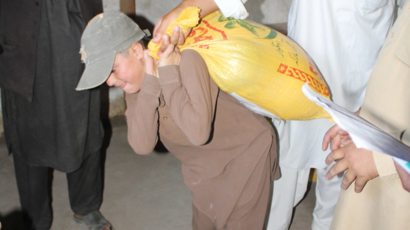 About – Indigenous Peoples Survival Foundation